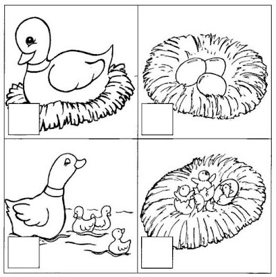 TE CUENTO UN CUENTO: Dibujos en forma secuencial, para ordenar y crear ...