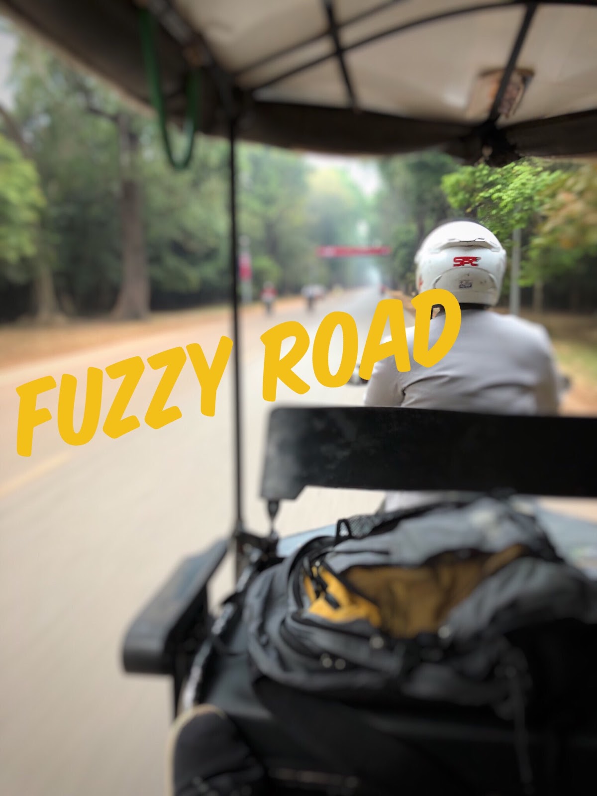 BAGeL Radio : indie rock noise pop internet radio: Fuzzy Road #178 ...