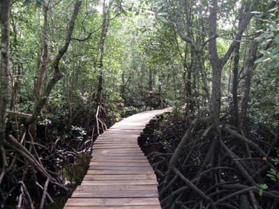 Giardino Contemporaneo: Robin Hood e Little John van per la foresta ...