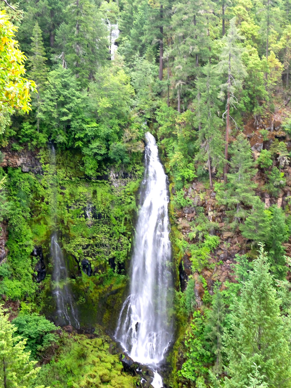 American Ducati Adventure: Day 11 - Rogue River Scenic Byway, Oregon