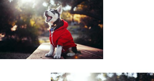 HitMan: IMAGINE PIXELATA