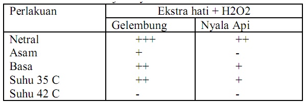 BIOLOGI GONZAGA: LATIHAN UJIAN KELAS XII 02