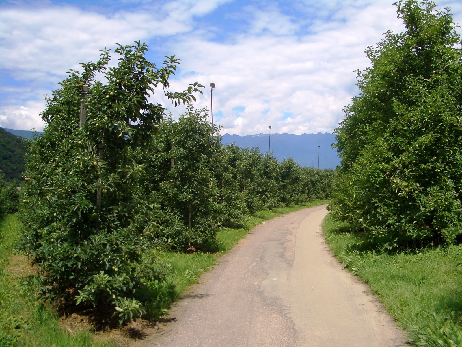 Sigima Paul in Pension: Jakobsweg Bozen - Meran - Vinschgau - Müstair