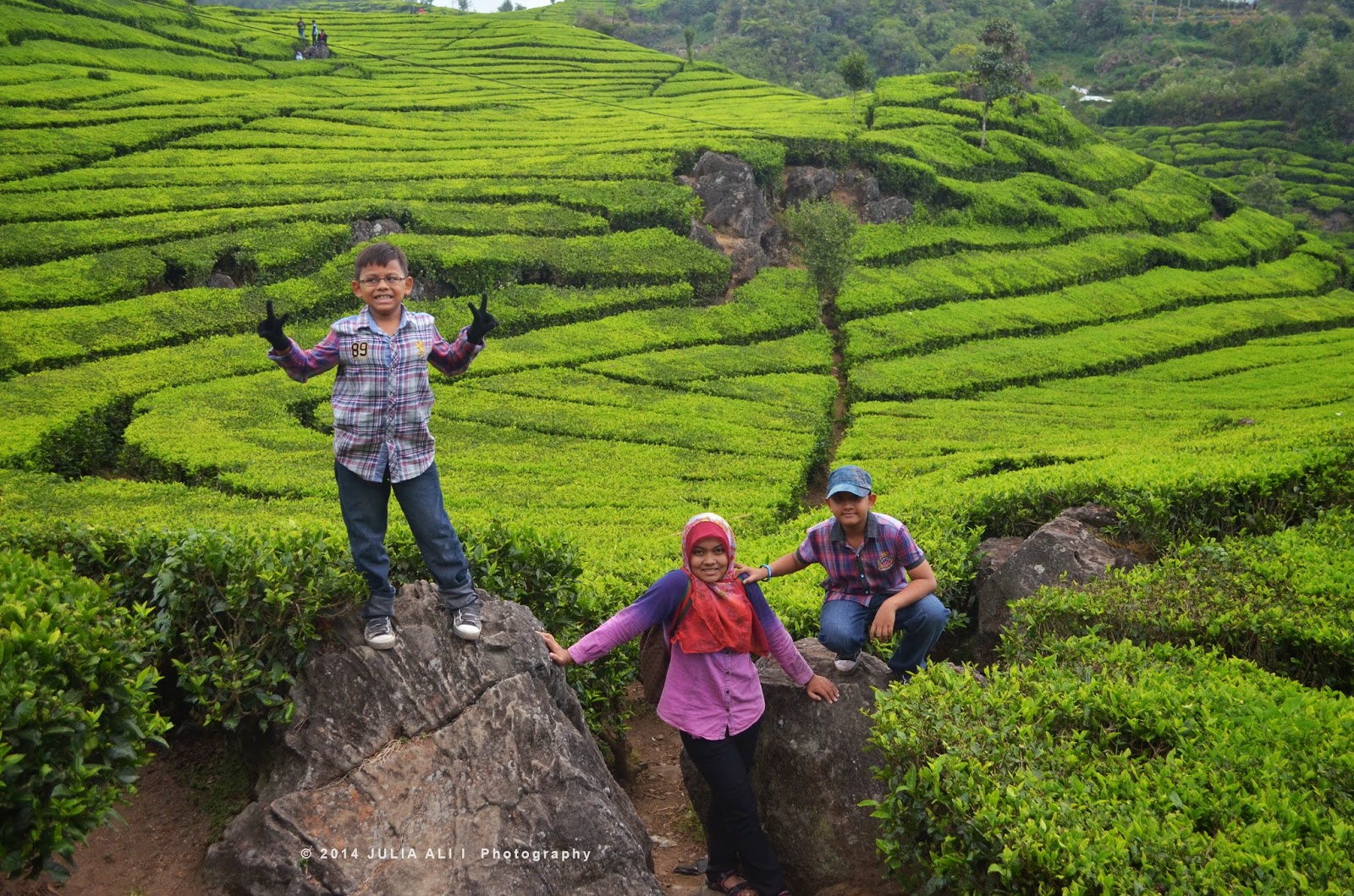 Travel : Bandung (PART 3) Ladang Teh & Kebun Strawberry - Julia Ali