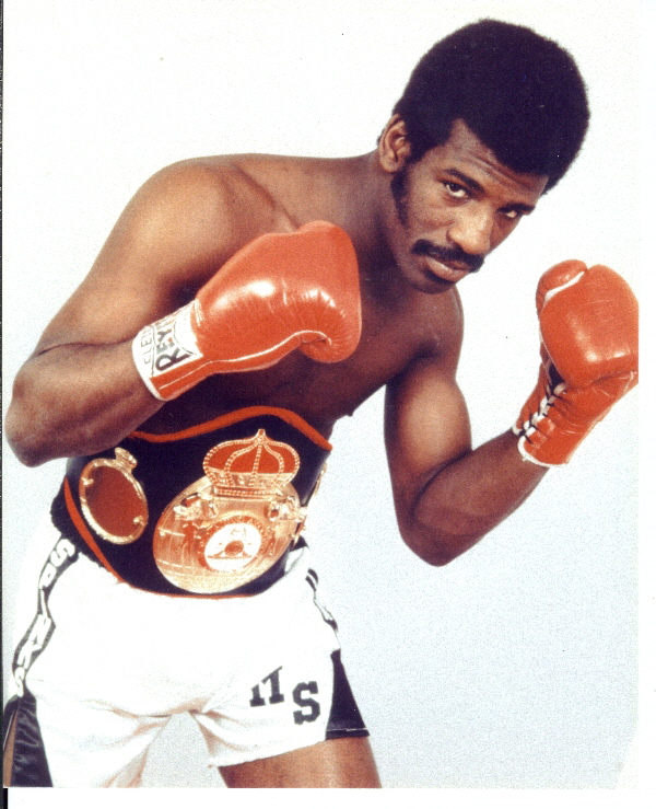 The Boxing Glove: The Boxing Glove Book Review: One Punch From The ...