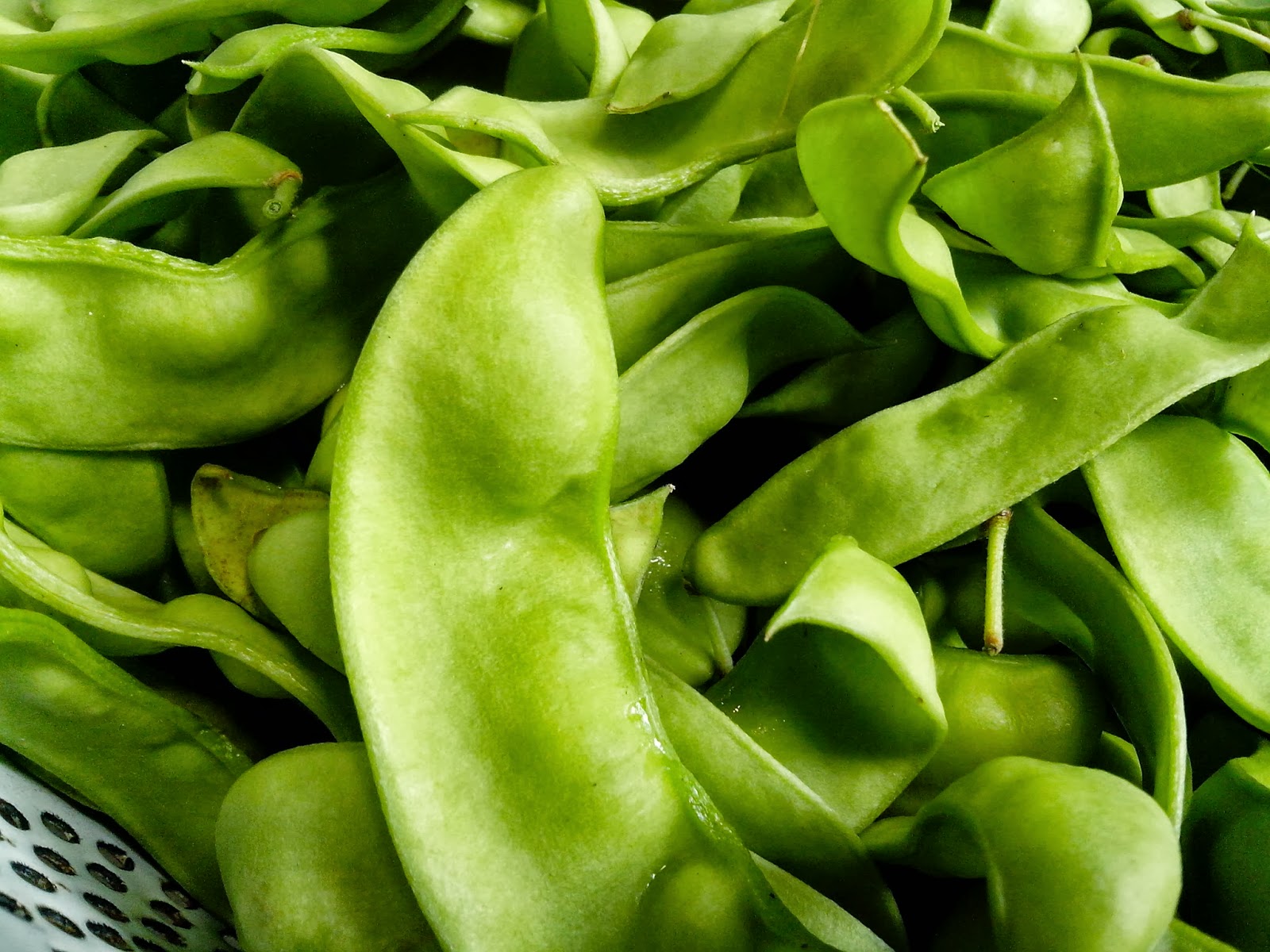 Endah Murniyati's Journey: VEGETABLE OF THE WEEK - KARA BEANS