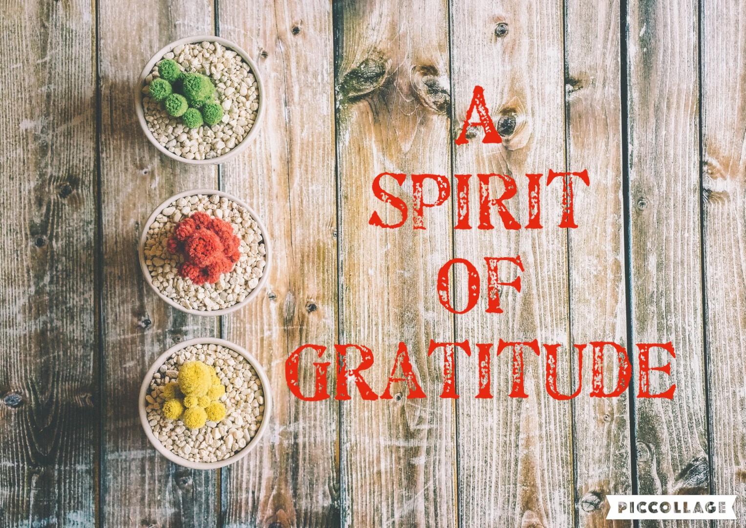My Really, Real Reality: A Spirit of Gratitude: April 19