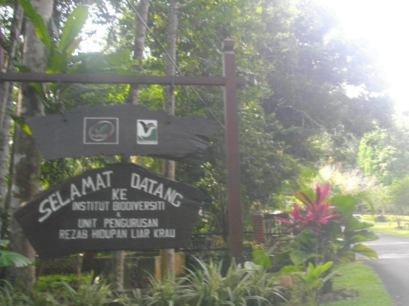 Tempat Menarik & Keindahan Alam: Kuala Gandah, Lanchang