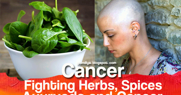 7 Proven Cancer Fighting Herbs and Spices. Ayurveda and Cancer ...