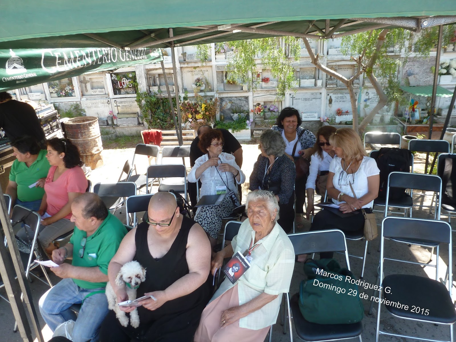 Justicianadamas,peronadamenos: 29 CANCIONES EN EL PATIO 29 ESTE DOMINGO 29.