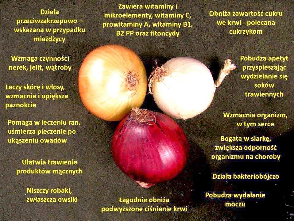 Jablonka: Syrop z cebuli, czosnku, miodu i cytryny.
