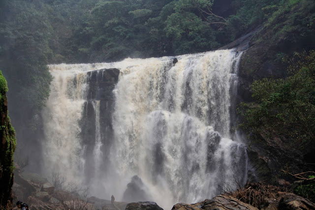 Explore and Conserve................................: Visit