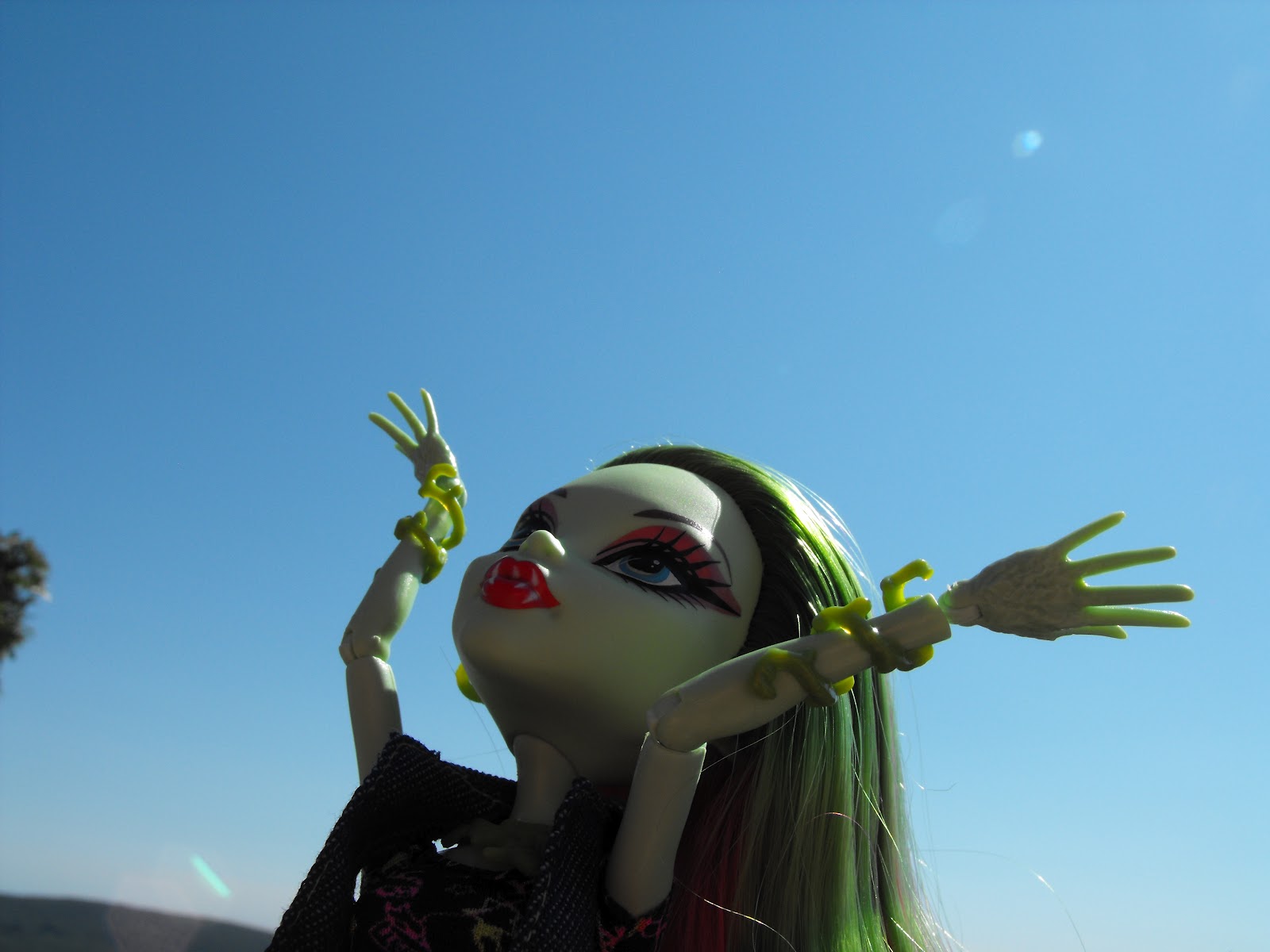 D-Lightful Designs: Monster High Photoshoot