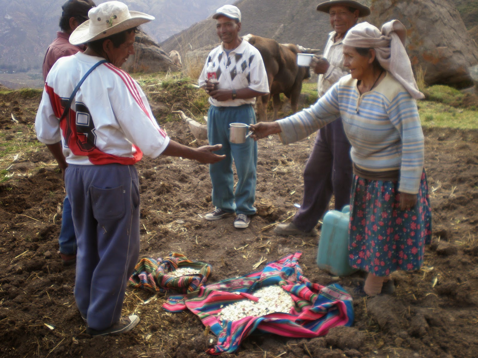 La Iglesia de Colta: COSTUMBRES DE COLTA