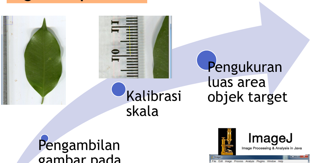 Best part of our life: Sharing! : [ImageJ] Threshold Color dan Wand ...