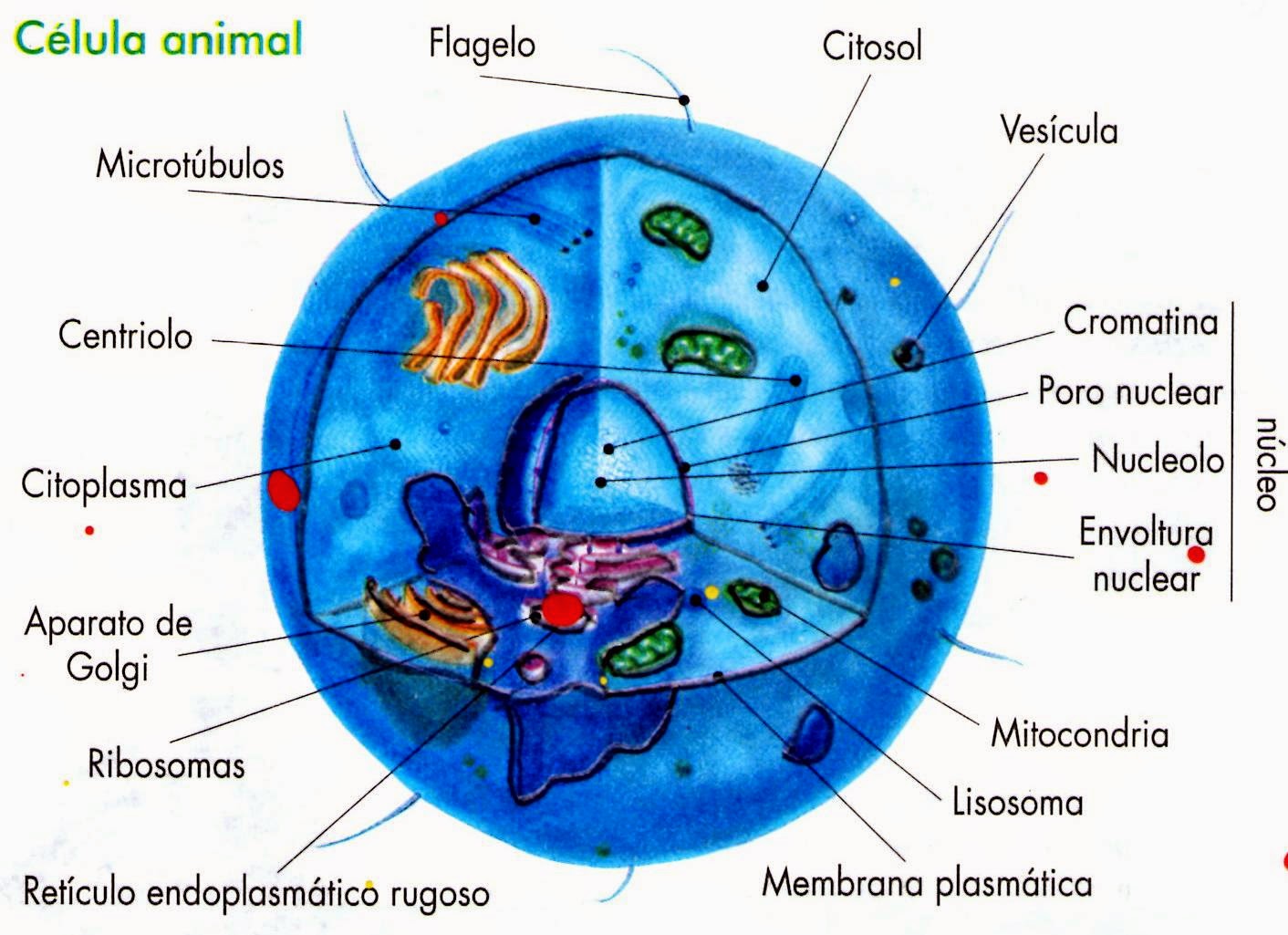 CIENCIAS NATURALES: 2015