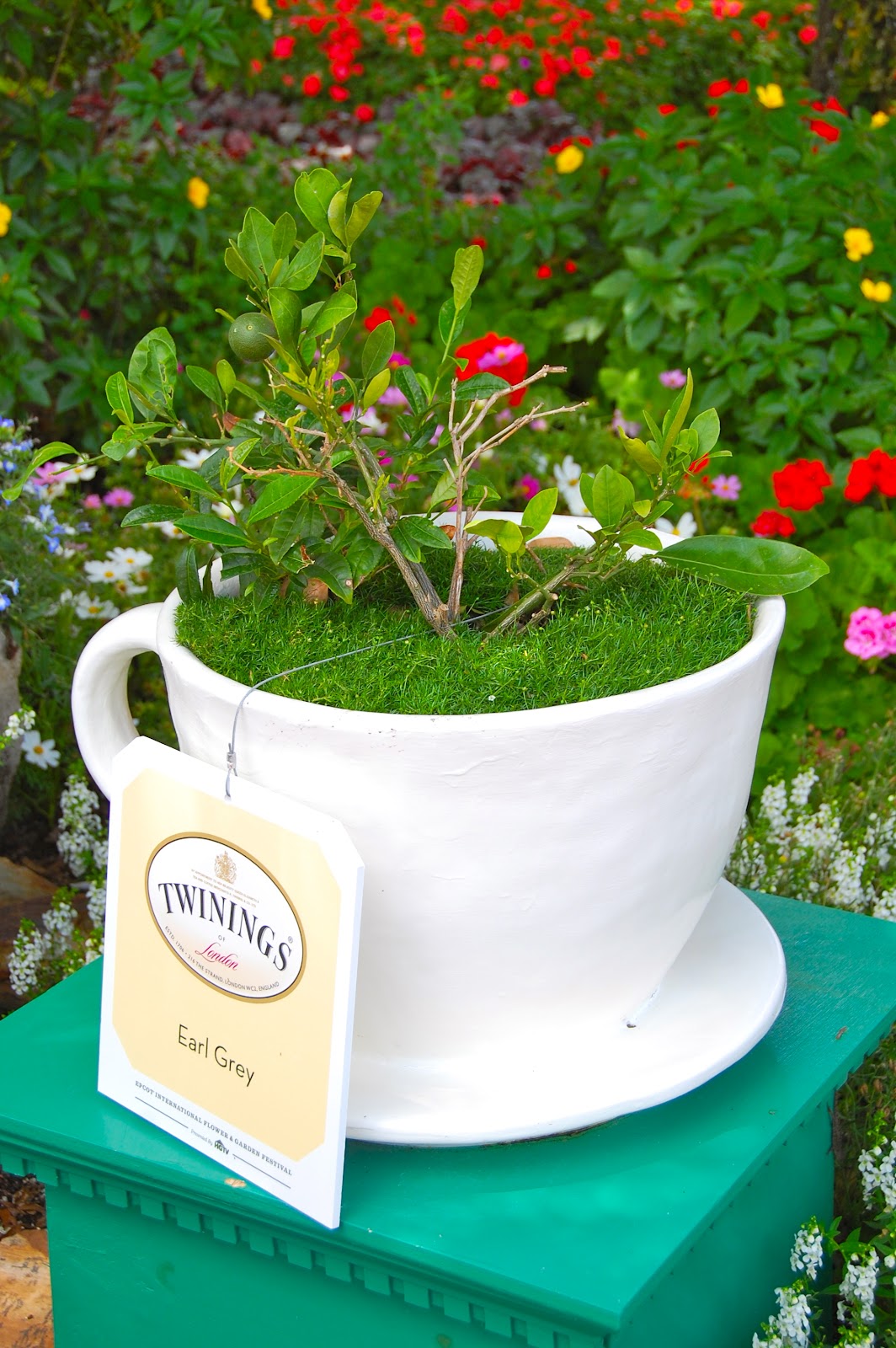 Disney Sisters: English Tea Garden and Tour in Epcot at Walt Disney World