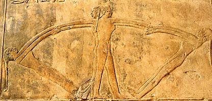 PHYSICAL EDUCATION: History of Physical Education