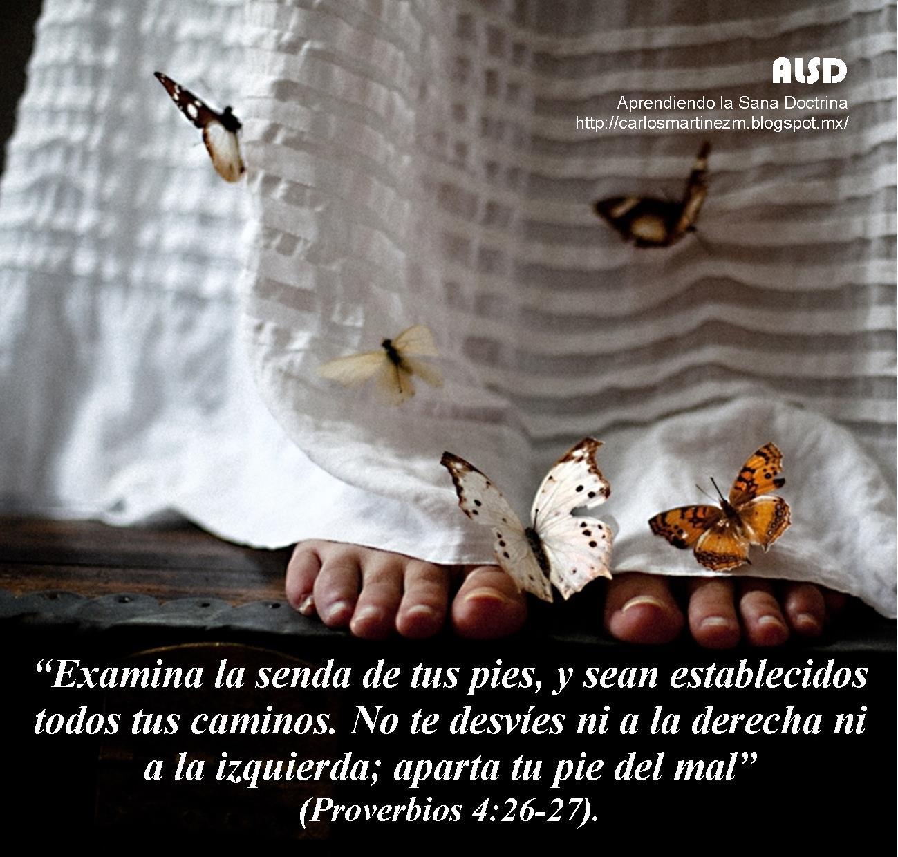 Aprendiendo la Sana Doctrina: Proverbios 4:26-27