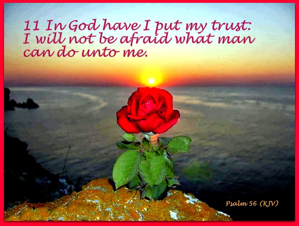 Red Pill Diaries Psalm 56 KJV 