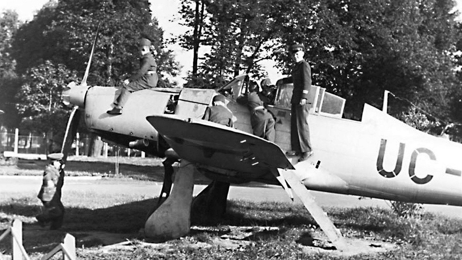 A Born Again Roman: Arado Ar 96