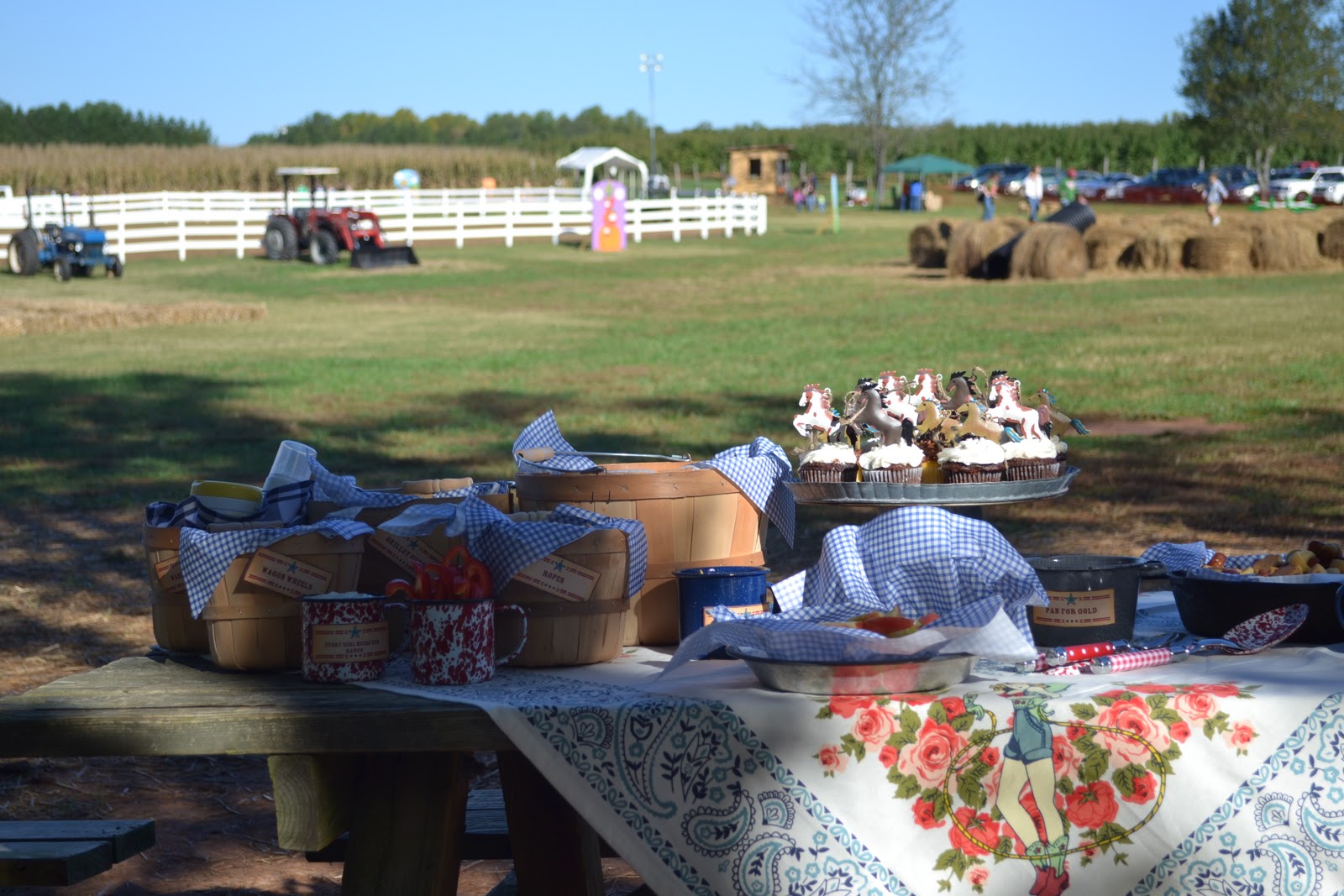 Three Pixie Lane: A Vintage Cowgirl Birthday Party