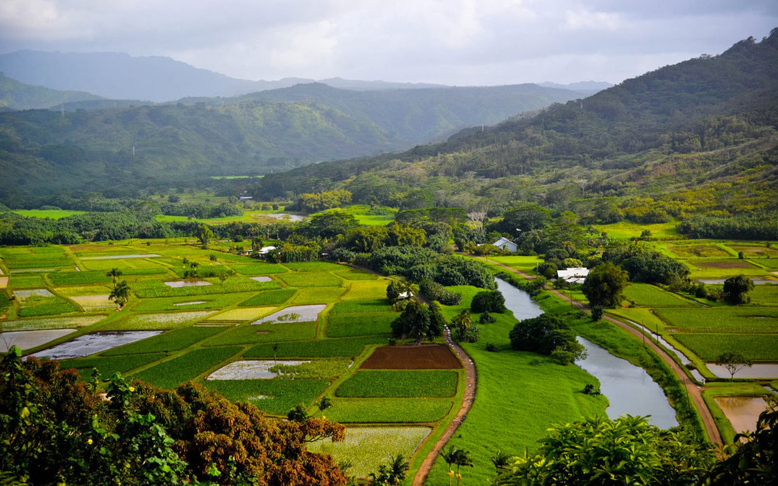 Wallpapers Hanalei River Valley Wallpapers