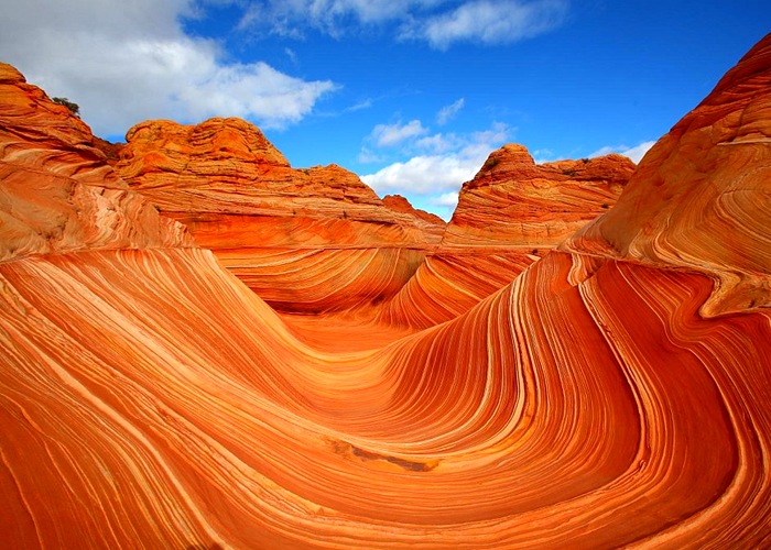What A Wonderful World: The Wave, Coyote Buttes, Arizona USA