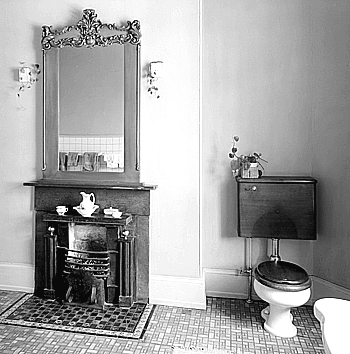 The Vintage Era: Beautifully Designed Toilets