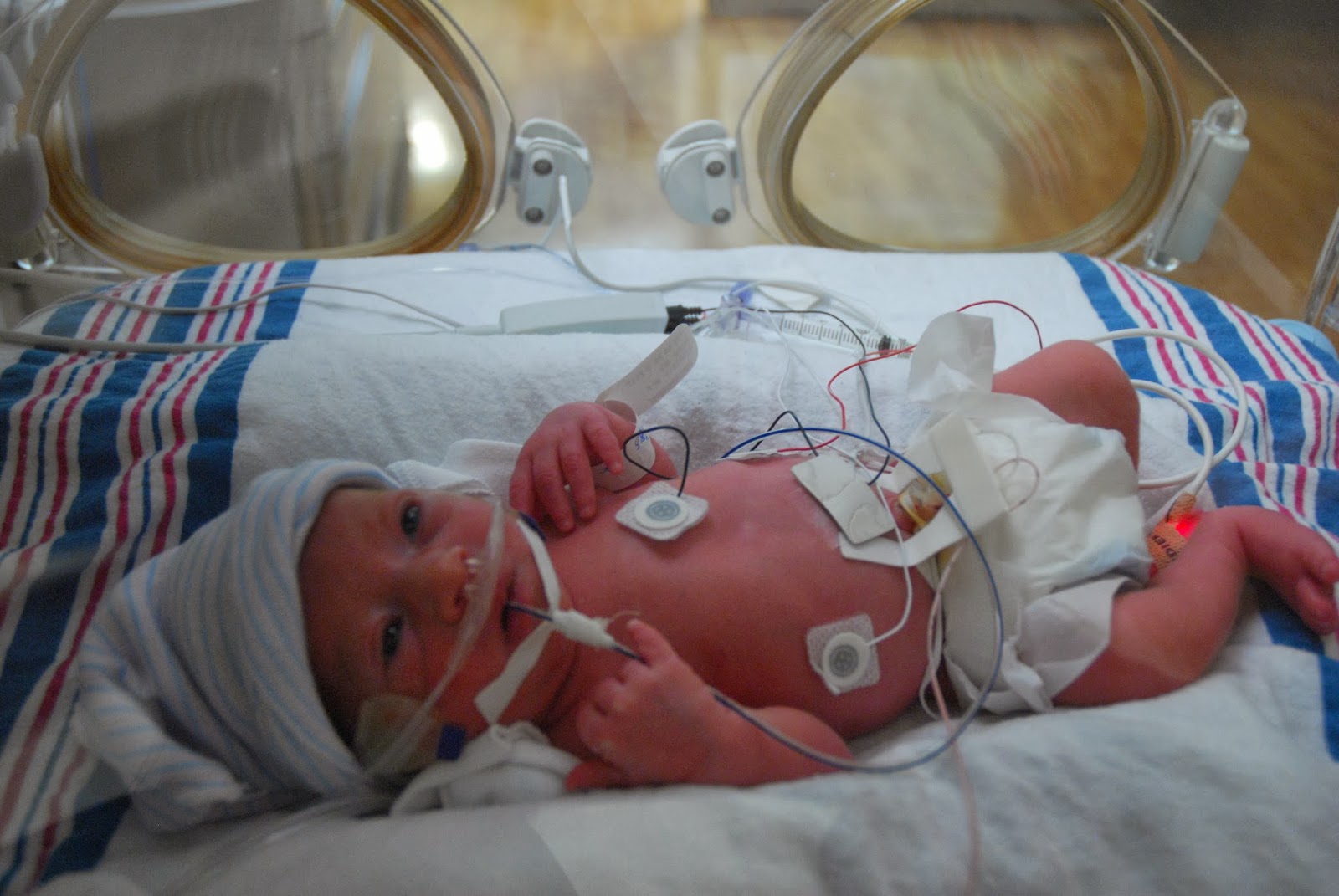 Parenting the Preemie Pope: About Us