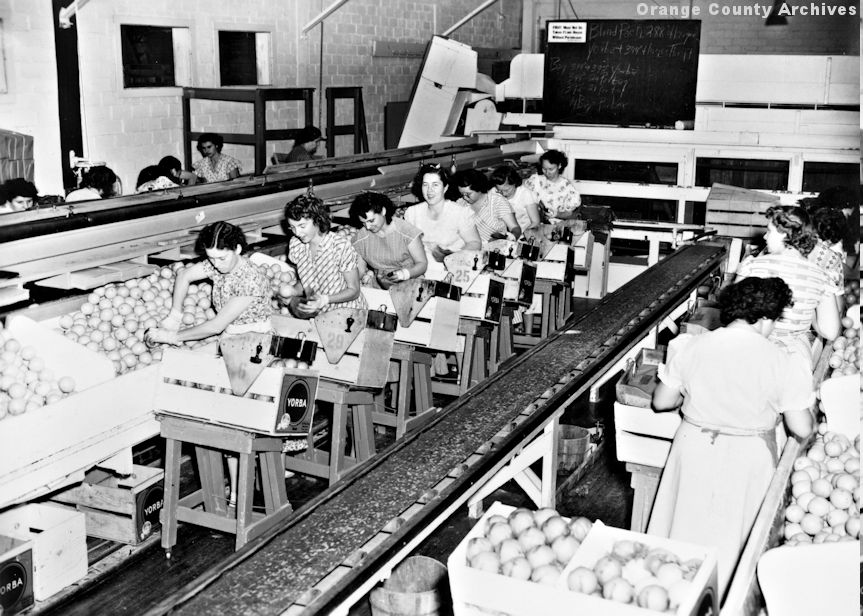 O.C. History Roundup: Orange County citrus crate labels