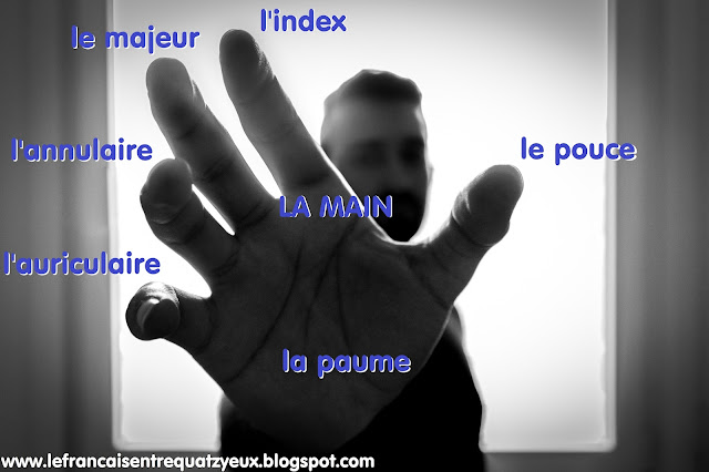 Vocabulaire et expressions autour de la main | Le français entre quat'z ...