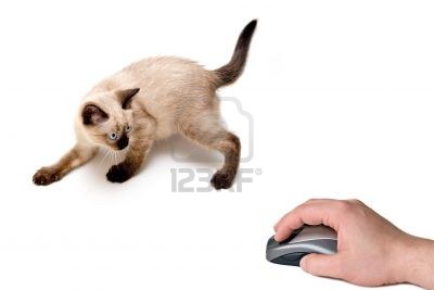 How to get your mouse cursor position (+Bonus: set position also ...