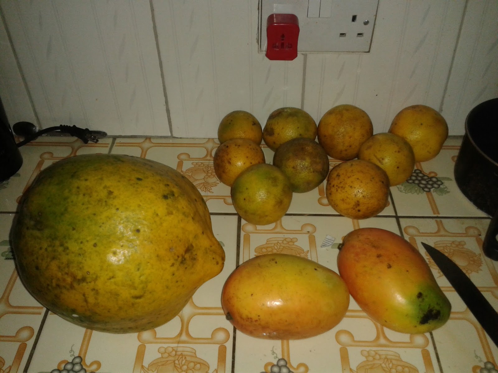 Times in Tanzania: Fruit season: Pineapple and Mango