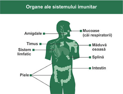 ORINRO: SISTEMUL IMUNITAR