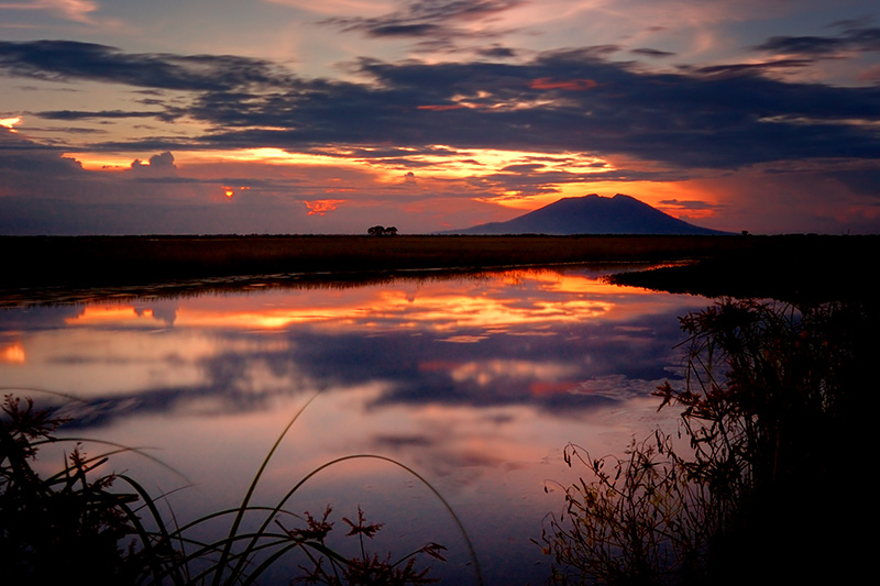 The Philippines: Candaba Swamp
