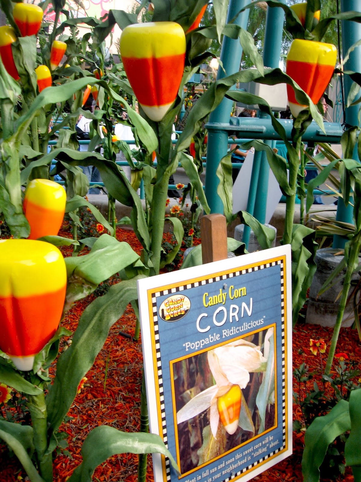 Navigating Disney: Disneyland Past Days: Candy Corn Acres