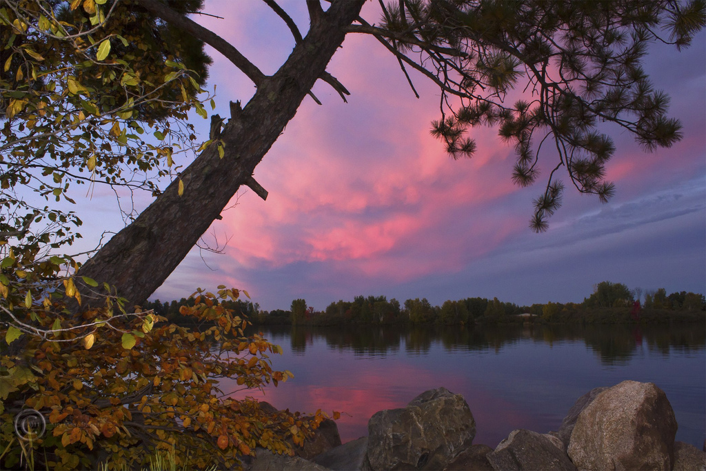 Alam Mengembang Jadi Guru: Awan Merah Jambu (Pink Clouds)