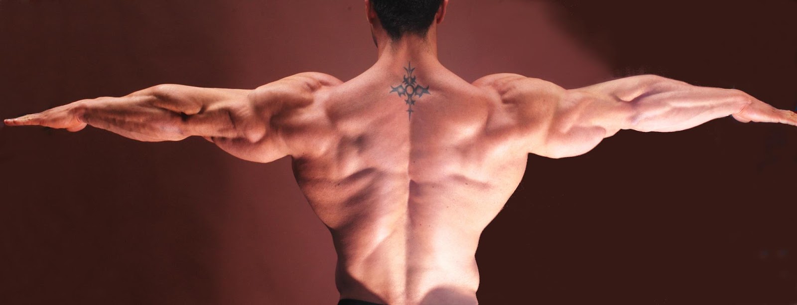 Muscle Lover: Italian muscle beast Alessandro Grassi