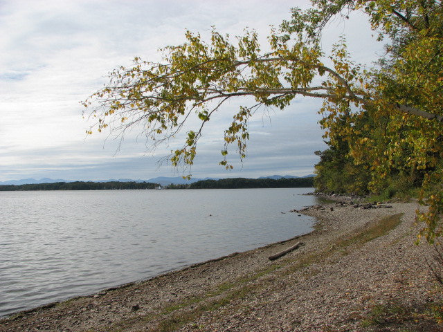 Red Rocks Park -South Burlington, Vermont | Litter with a Story To Tell