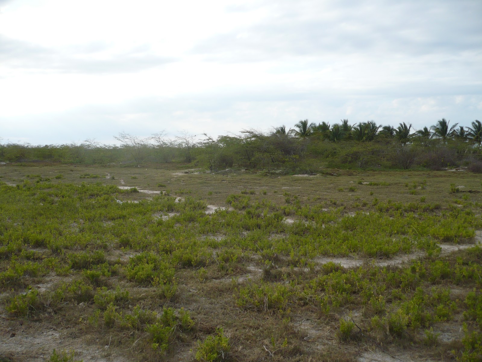 Villes, Patrimoines et Lieux Historiques de l'Ouest d'Haïti: La Gonâve