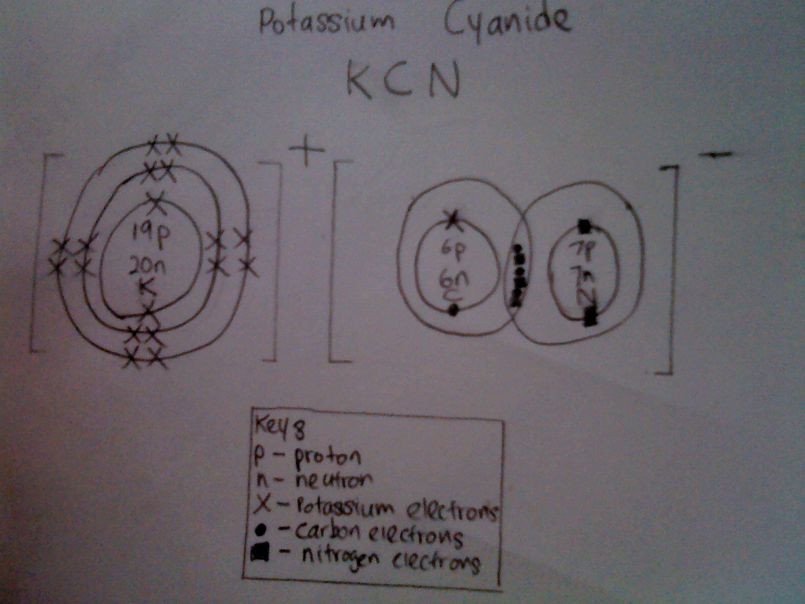 2P3 LSS: Science Assignment by Soh Zheng Yang 2P325