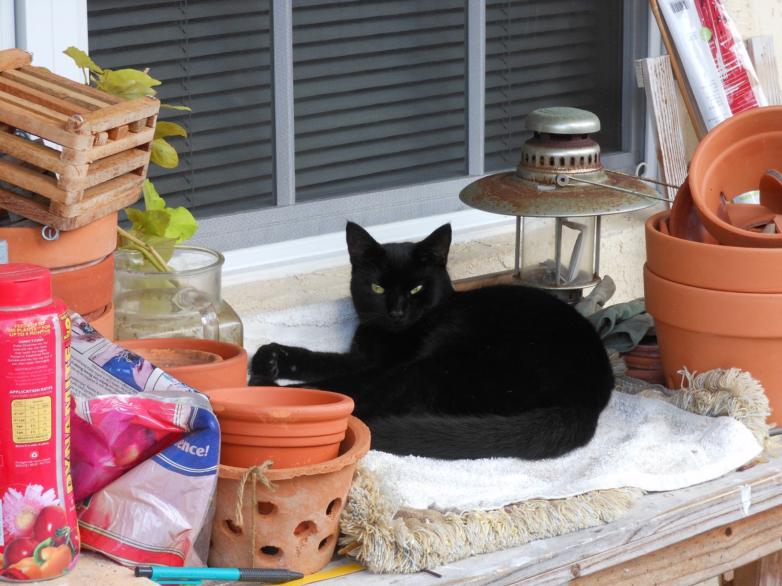 Aerides Designs - Handcrafted Gemstone Jewelry