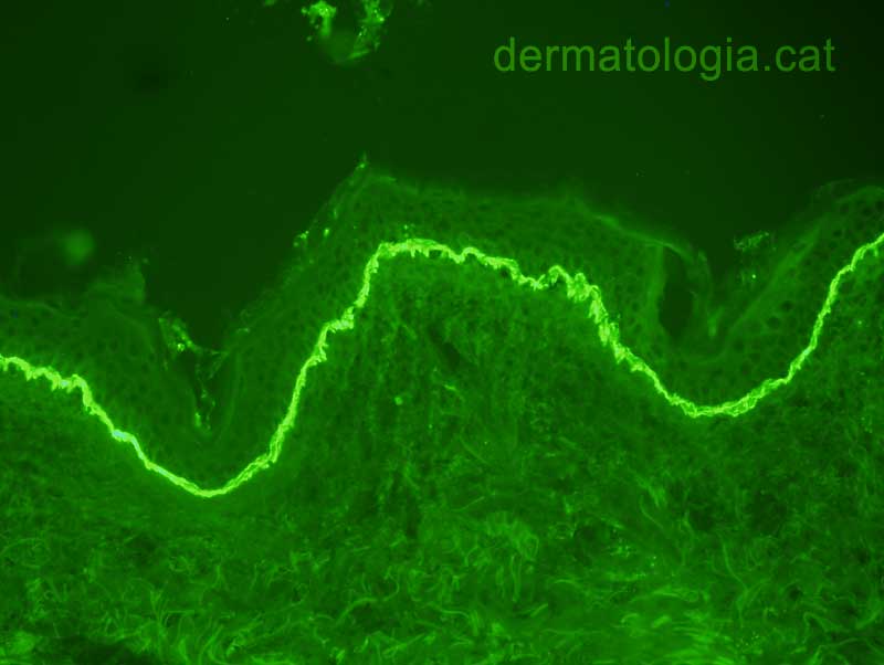 Dermapixel: octubre 2011