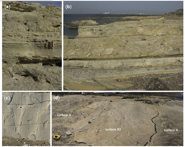Huellas humanas de 5,7 millones de años desafían la teoría evolutiva ...