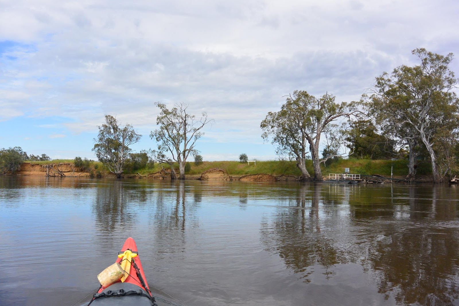 Murray River Kayak.: Murray River Paddle 2016 Day 15 Echuca to ...