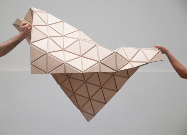 Nathans Thoughts: Wood-Skin - MammaFotogramma