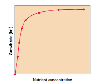 BtB#9: Bacterial growth curve