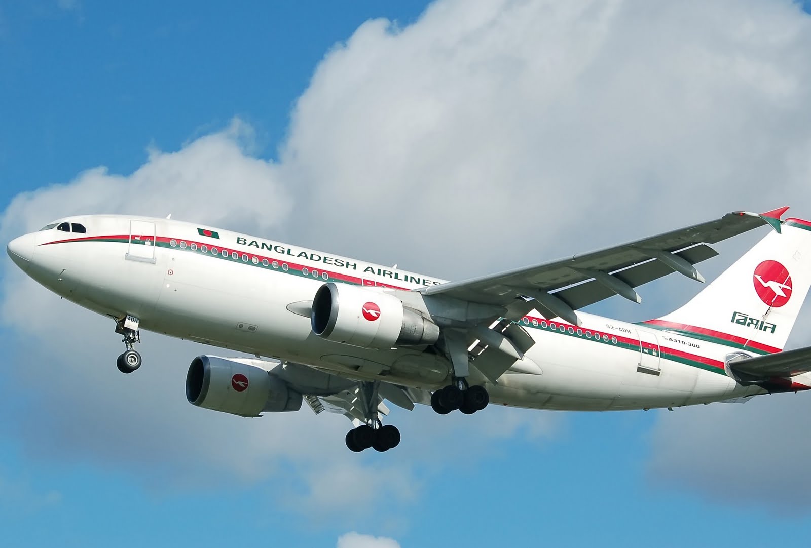 Bangladesh2u: Online Biman tickets through credit cards of Biman ...