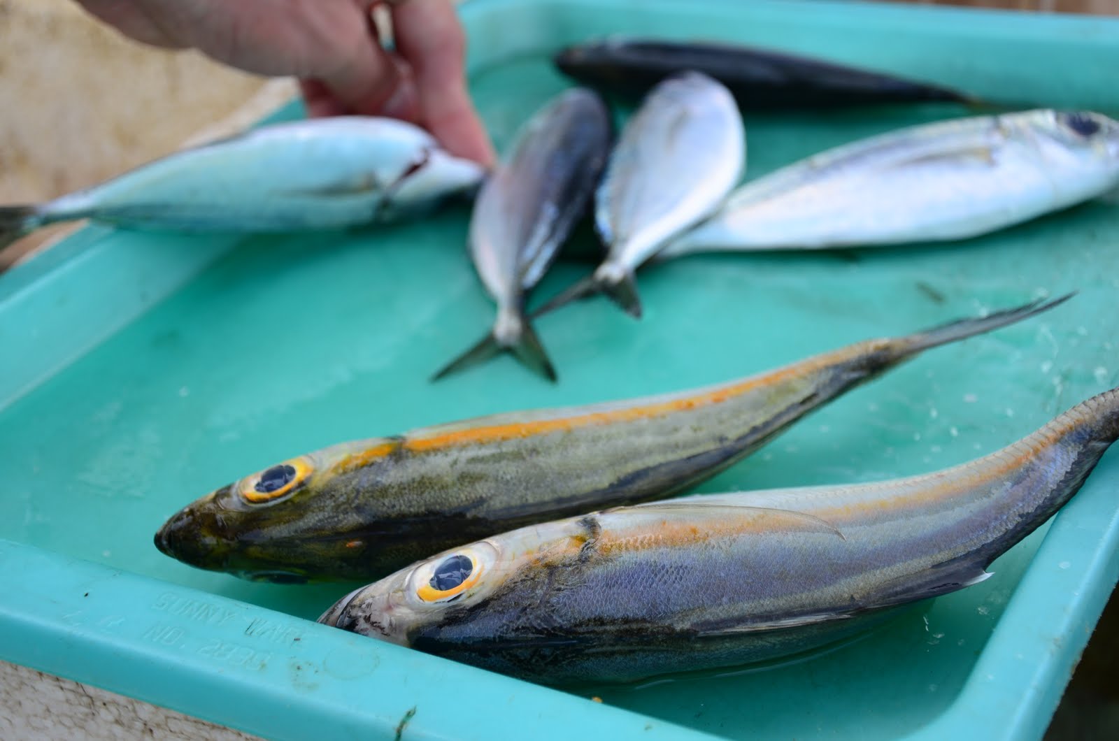 The Nomadic Pinoy: Talicud Island